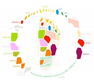 Fall in love with your feet! Healing through reflexology, foot massage ...